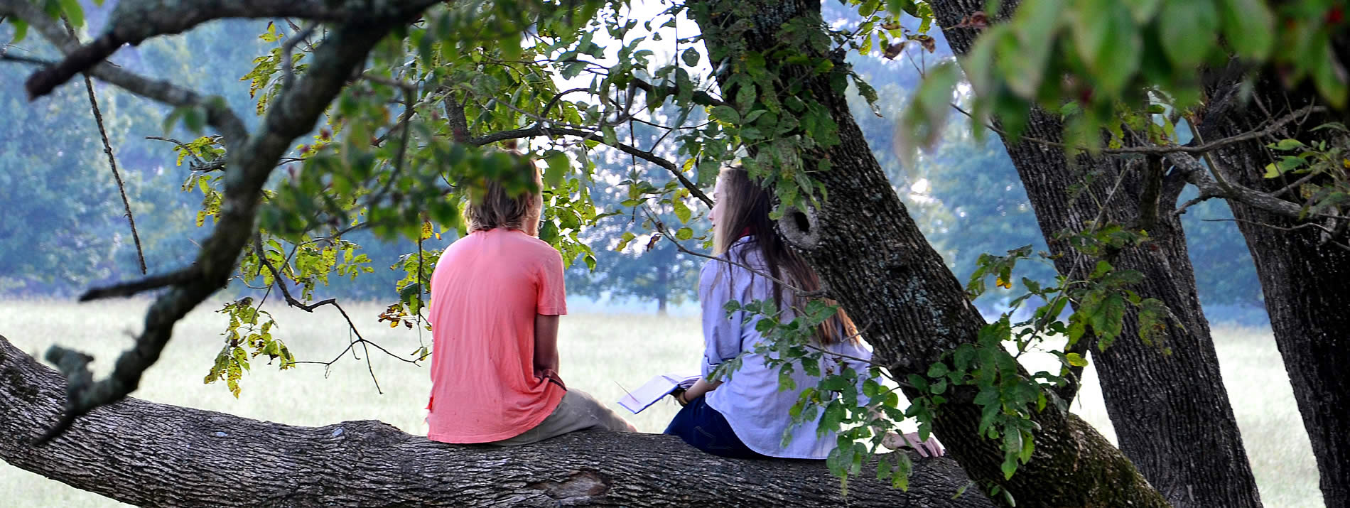 Berry College Arboretum Tree Walk